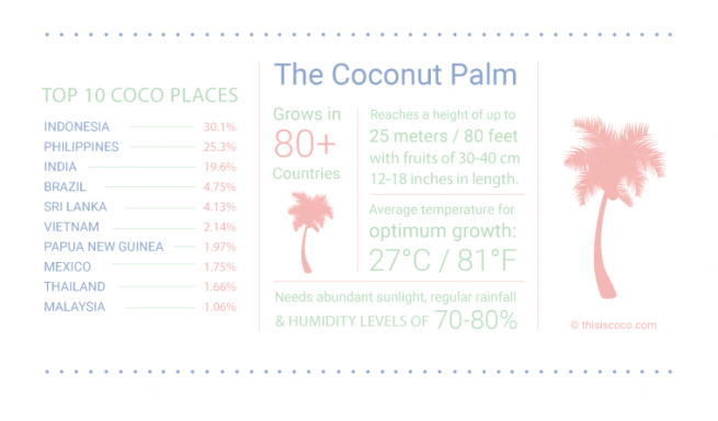 The healthy coconut products guide - 23 vegan foods made from coconuts