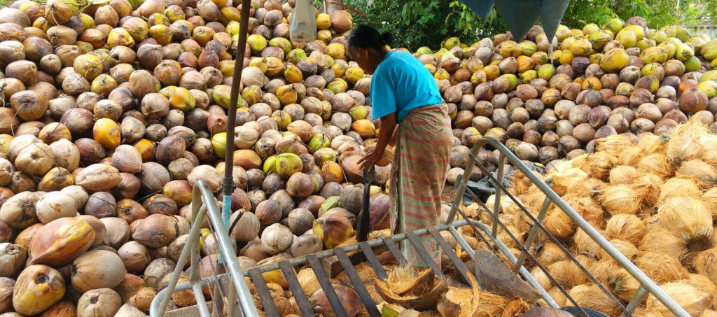 Koh Samui adventures - you'll fall in love with Thailand's coconut island